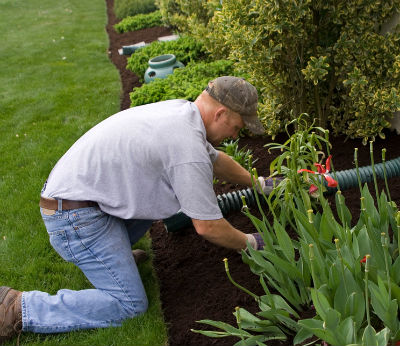 Three Reasons to Inquire About Professional Landscaping | Yard ...