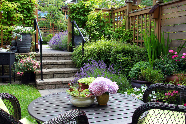 Create Your Dream Yard with These Landscape Design Ideas | Yard ...