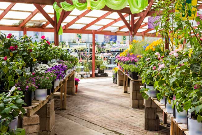 Make Your Yard Bloom by Visiting Our Garden Center | Yard & Nursery Depot