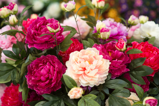 The Best Flowers to Buy for Each Season | Yard & Nursery Depot