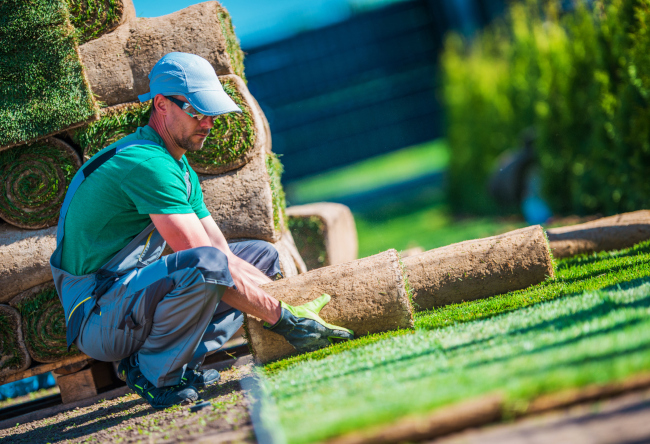 3 Things to Consider When Choosing a Landscaper | Yard & Nursery Depot