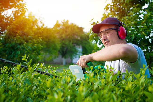 We Can Fill All Your Professional Landscaping Needs | Yard & Nursery Depot